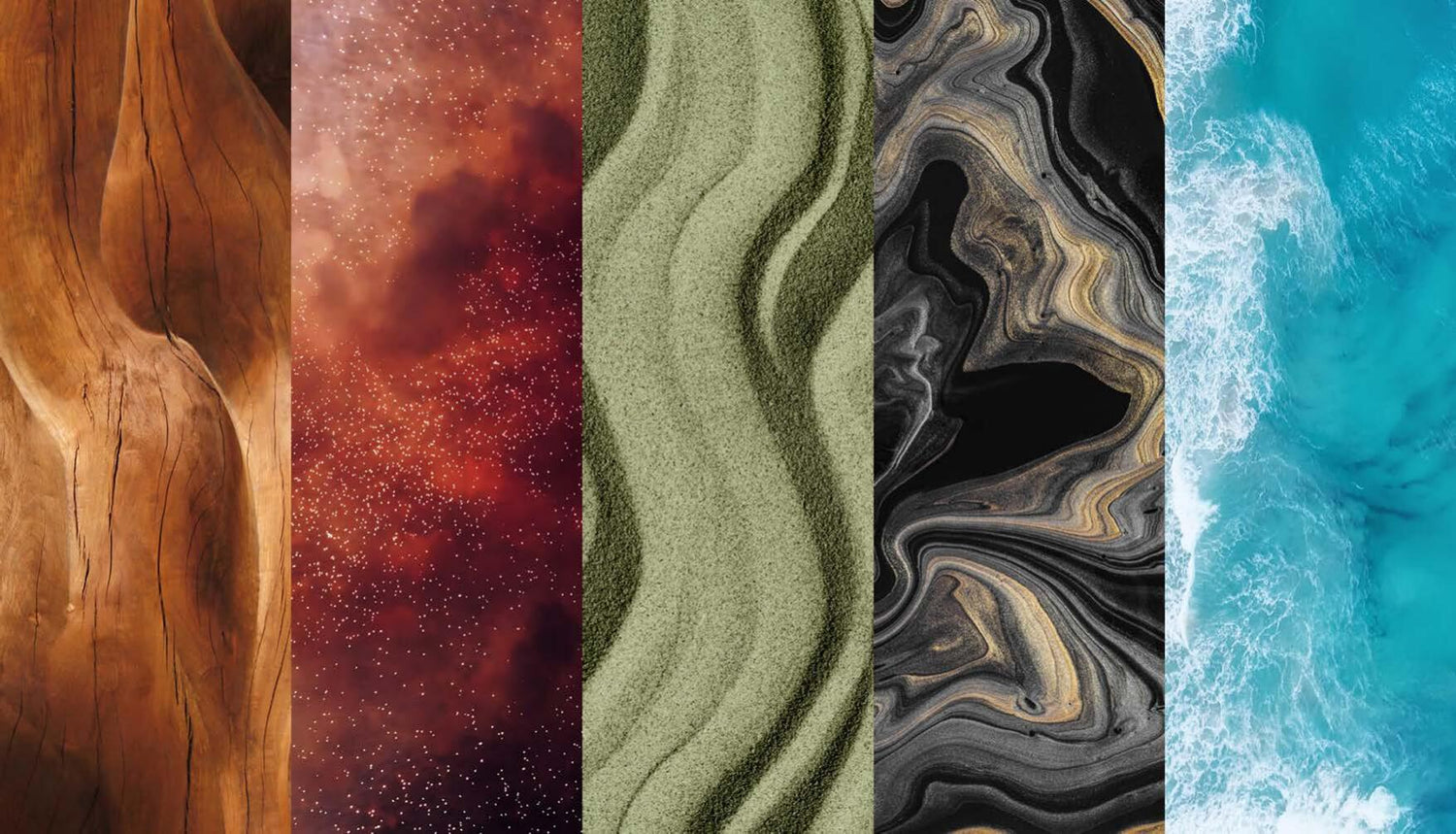 The Five Element Theory – Elemental Herbology US